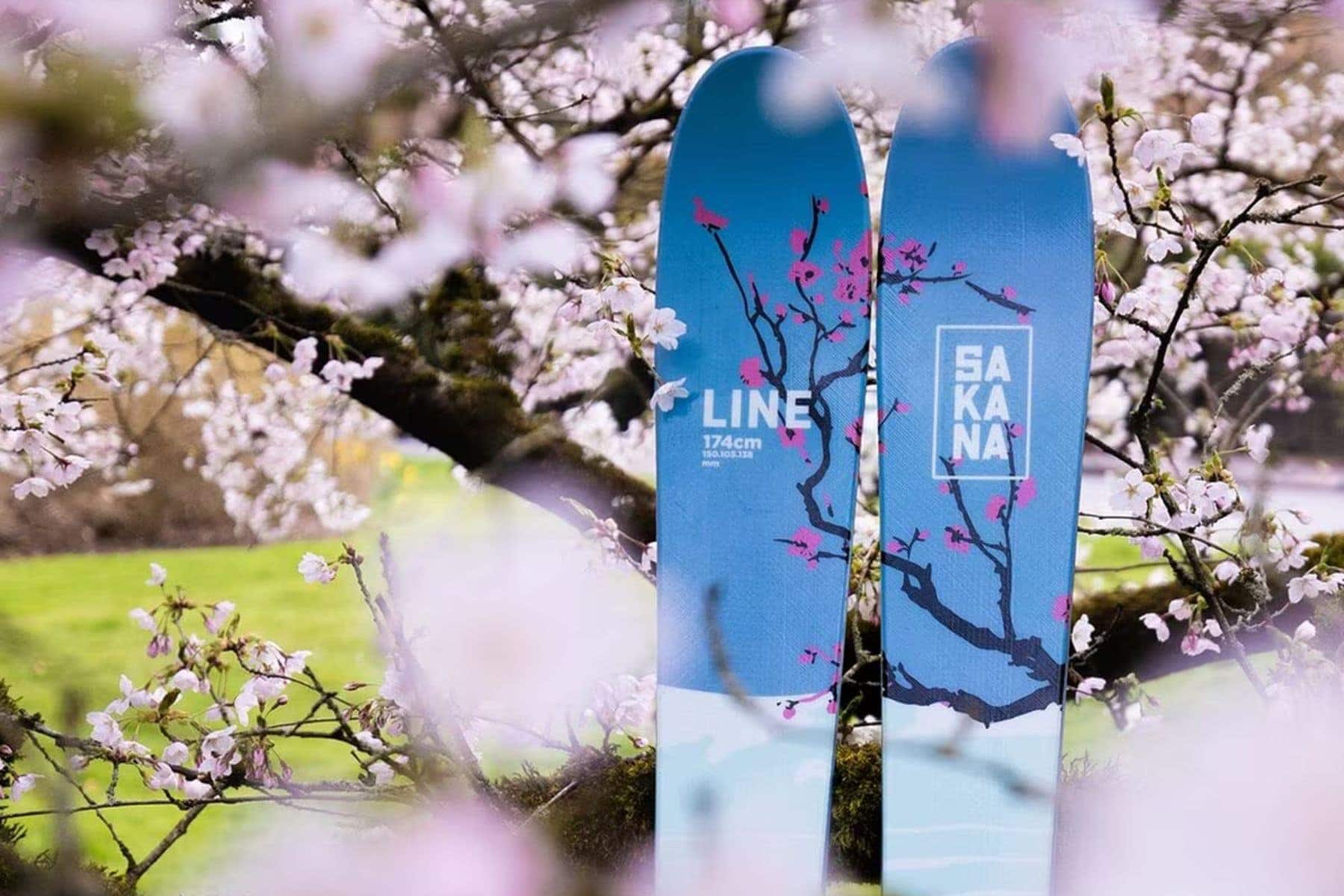 10 Best Line Skis of 2024 | All Types of Skiing